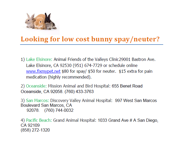 Veterinarian List – Lucky Bunny Rabbit Rescue
