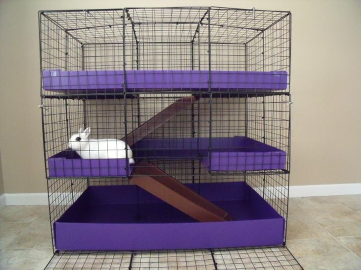 Creative Cage Ideas – Lucky Bunny Rabbit Rescue